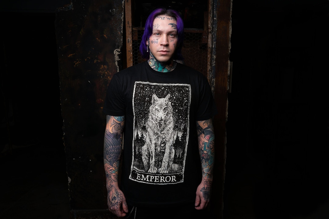The Emperor Tarot Card T-shirt, Gothic Style Tee, Emo Aesthetic, Aries ...
