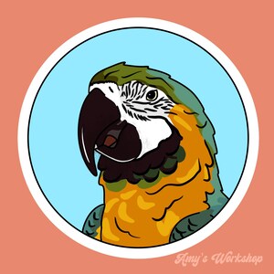 6 Pack Jimmy Buffet Stickers Island Time Sticker Bundle Beach Theme Art ...