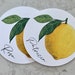 Lemon Name Place Cards Circle Wedding Bridal Baby Shower Birthday Party ...