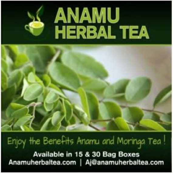 Anamu Herbal Tea - Etsy