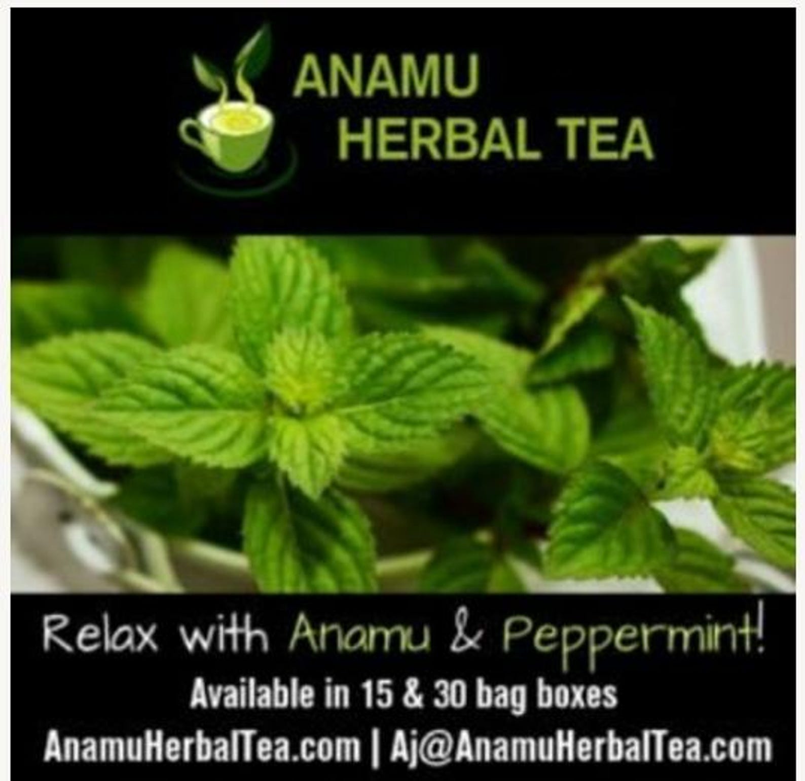 Anamu Herbal Tea - Etsy