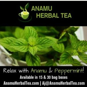 Anamu Herbal Tea - Etsy