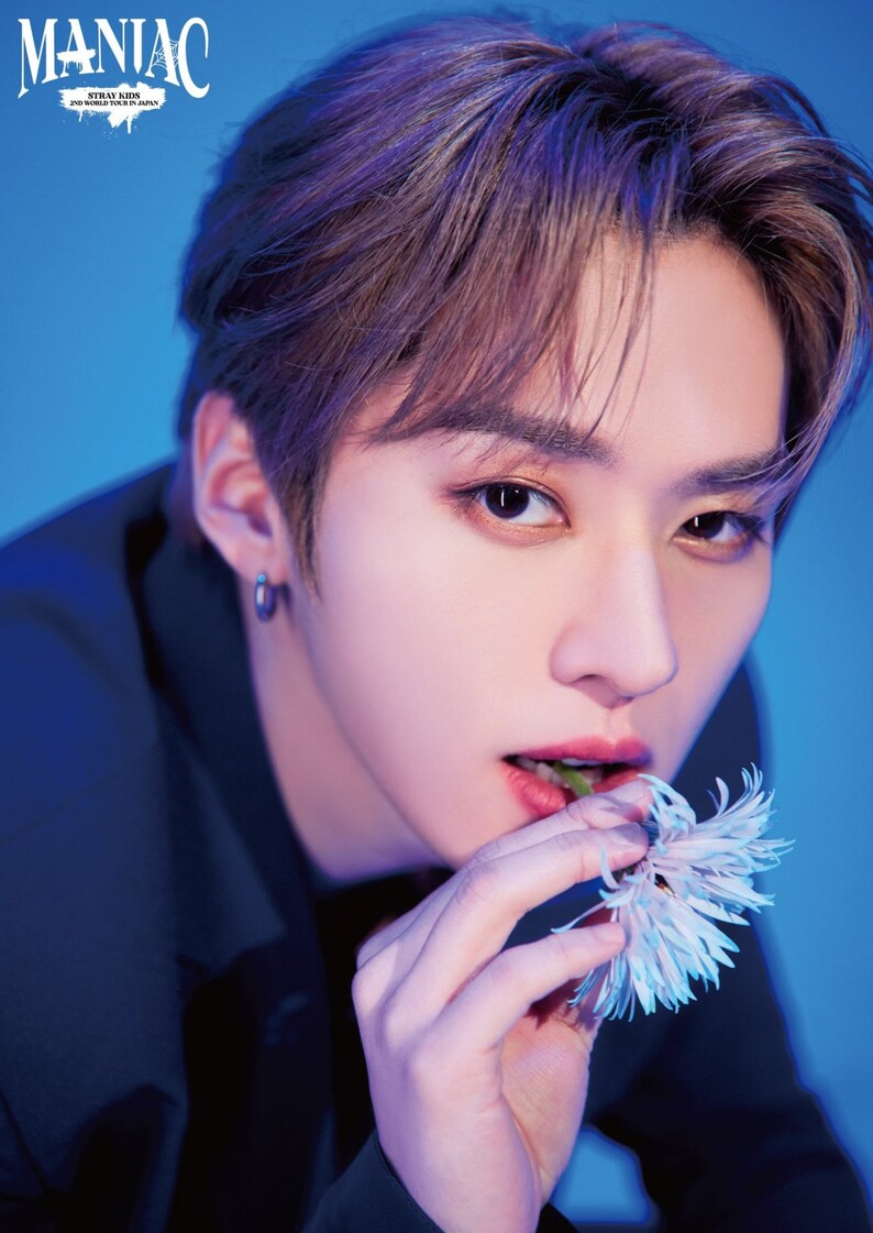 4D Stray Kids Lee Know Inspired Lip Gloss - Etsy