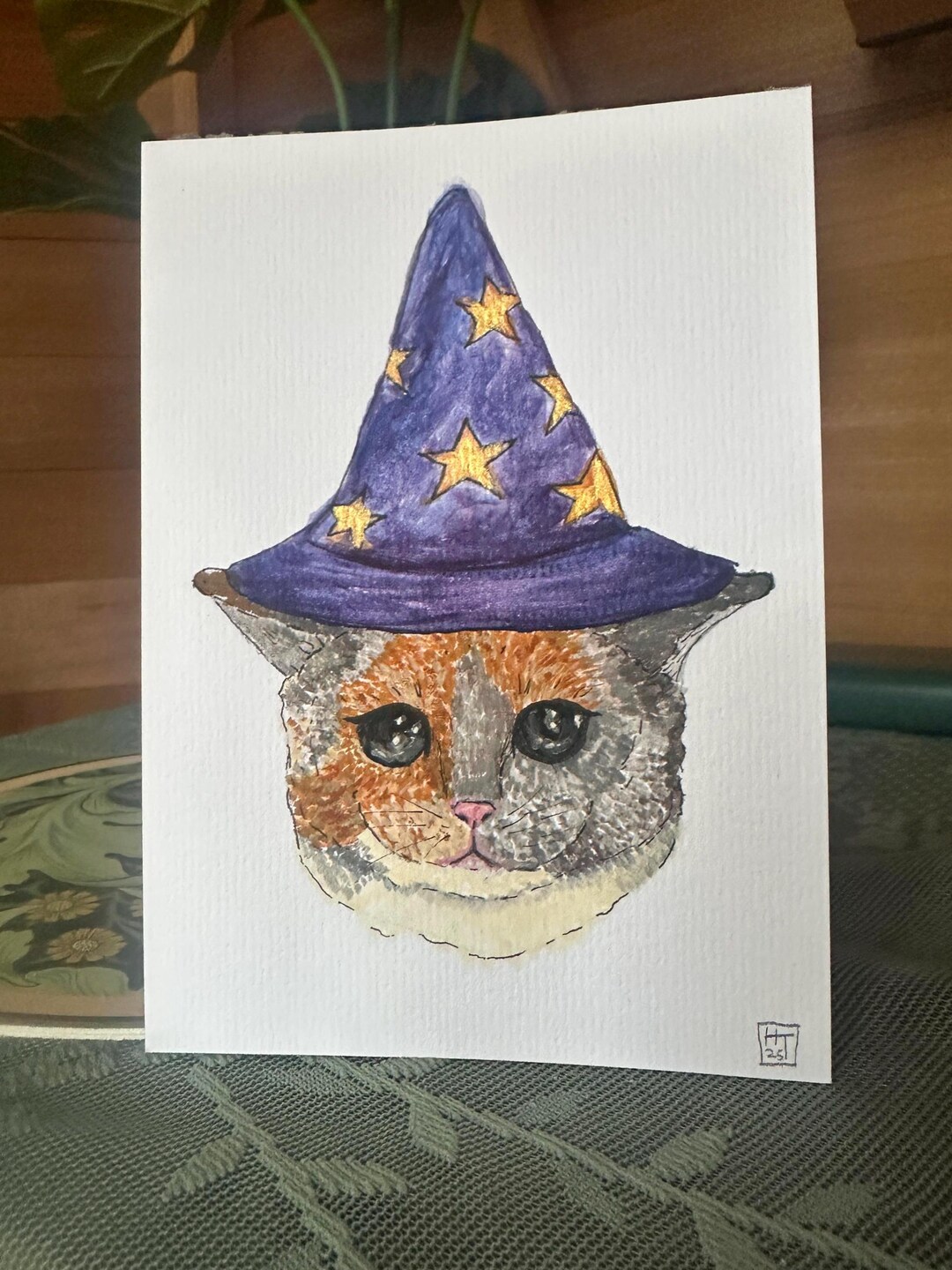 Original Watercolour Painting - Sad Wizard Cat - Etsy