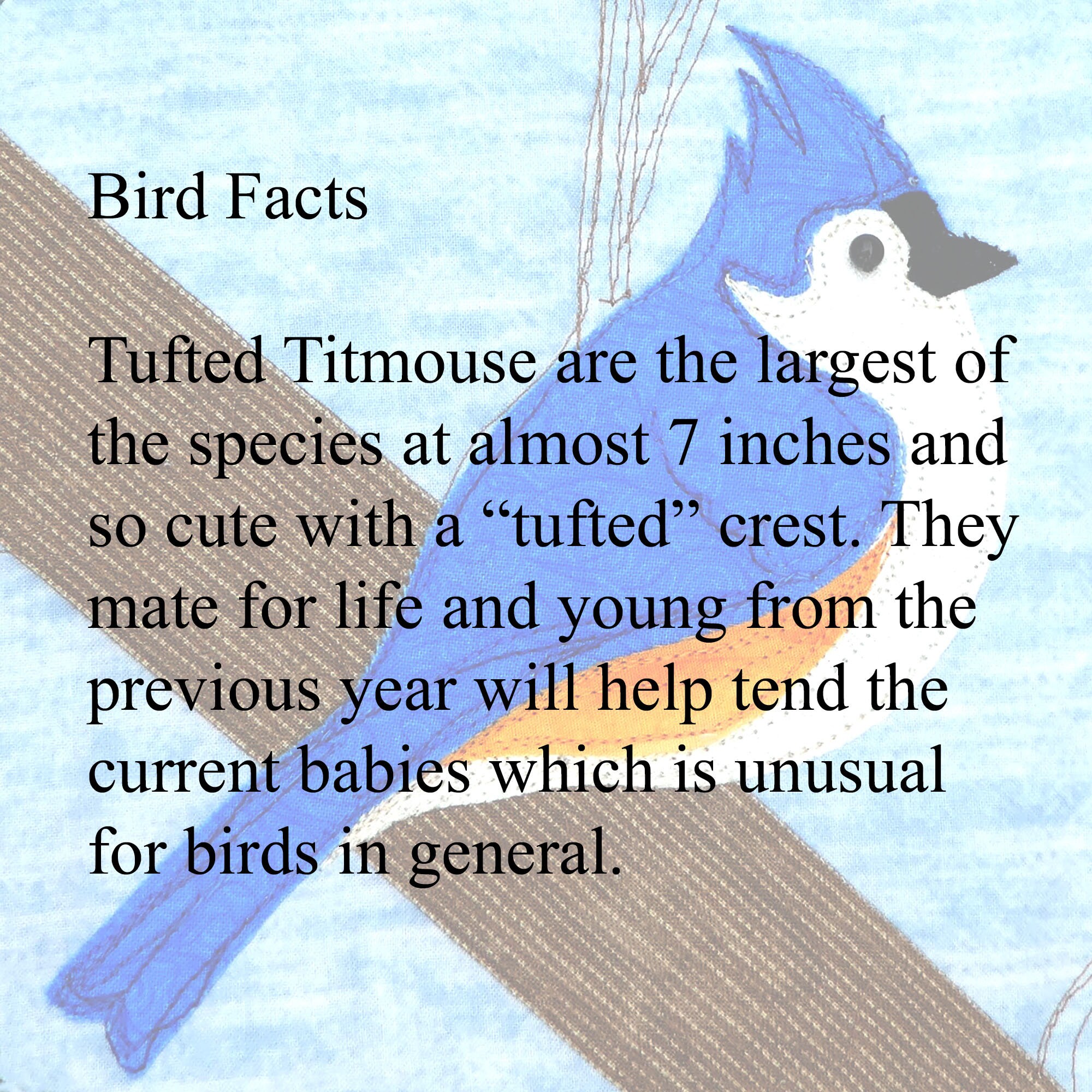 Tufted Titmouse Bird Quilt Pattern PDF Download - Etsy UK