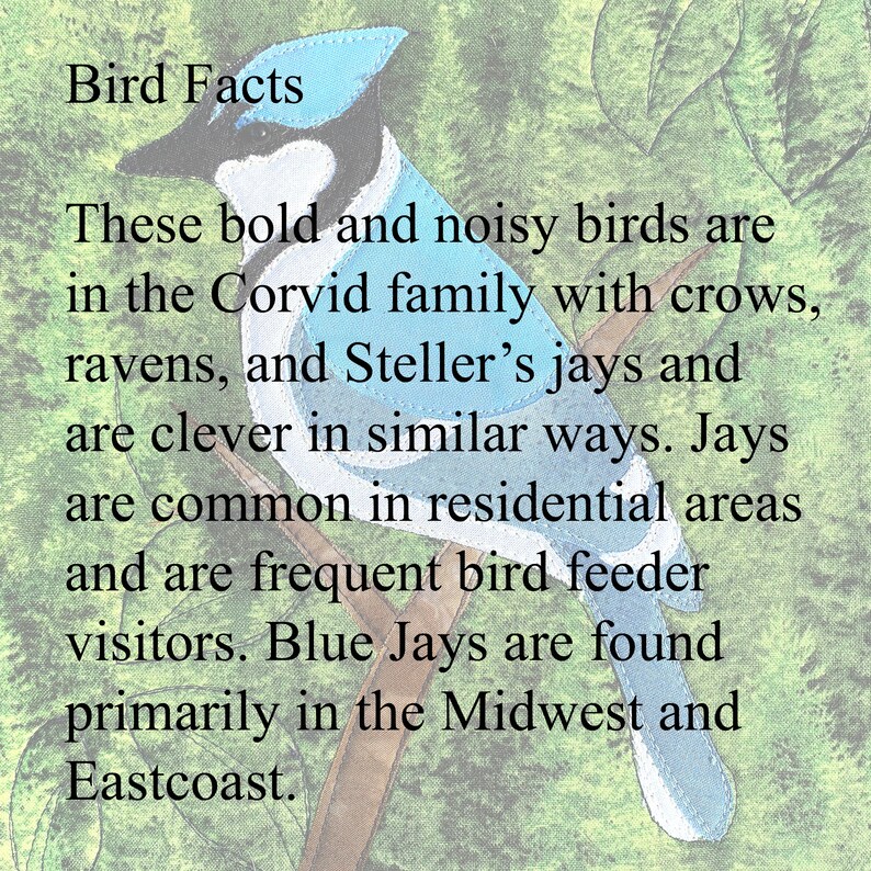 Blue Jay - Bird Applique Quilt Pattern - PDF Digital Download - Etsy