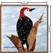 Red-bellied Woodpecker - Bird Applique Quilt Pattern - Digital Download ...