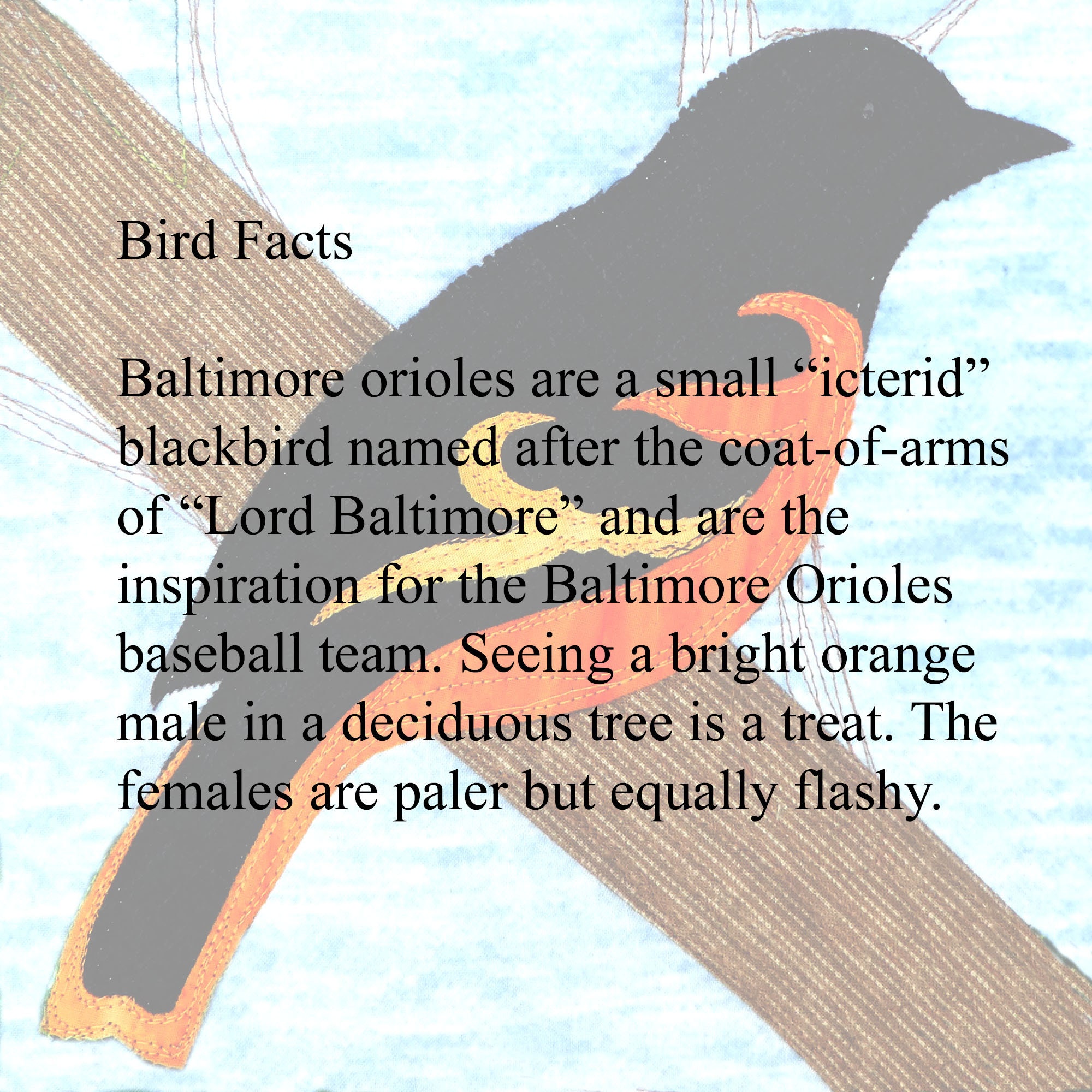 Baltimore Oriole - Bird Quilt Pattern - PDF Download - Etsy Canada