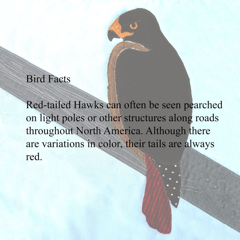 Red-tailed Hawk Bird Applique Quilt Pattern PDF Download - Etsy