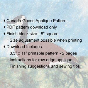 Canada Goose - Bird Applique Quilt Pattern - PDF Download - Etsy