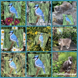 Blue Jay Bird Applique Quilt Pattern PDF Digital Download - Etsy