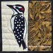 Hairy Woodpecker Bird Applique Quilt Pattern Digital - Etsy