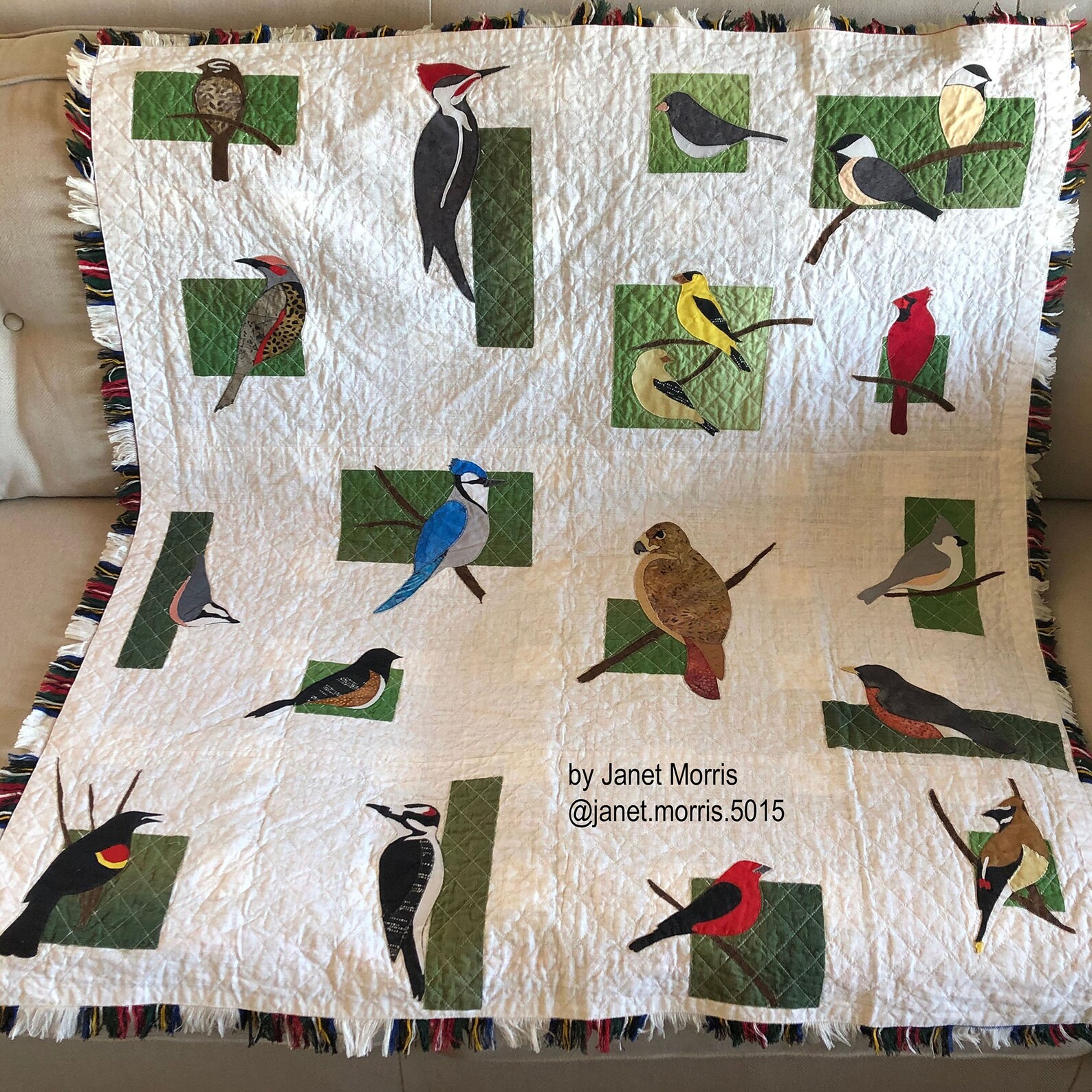 Red-tailed Hawk - Bird Applique Quilt Pattern - PDF Download - Etsy