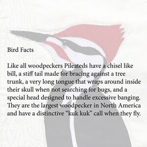 Pileated Woodpecker - Bird Applique Quilt Pattern - Digital Download - Etsy
