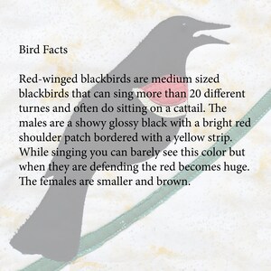 Red-winged Blackbird - Quilt Pattern - PDF Download - Etsy