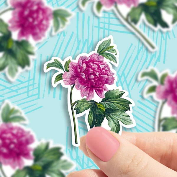 Peony Sticker - Etsy