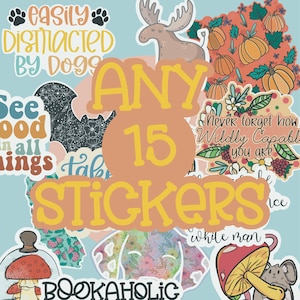 Any 15 Sticker Pack, Sticker Pack, Choose Any 15 Stickers, Custom ...