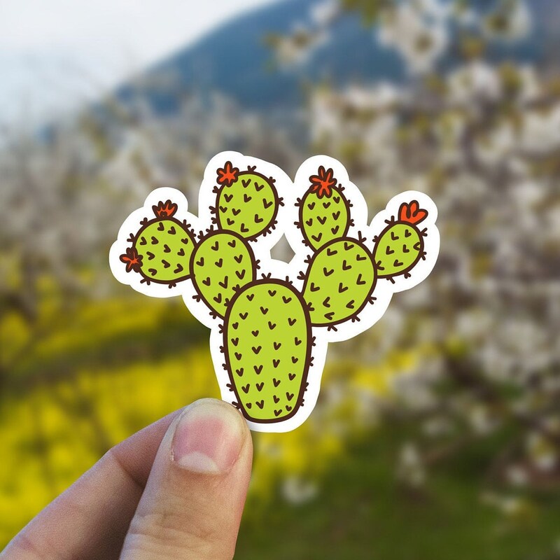 Cactus Stickers - Etsy