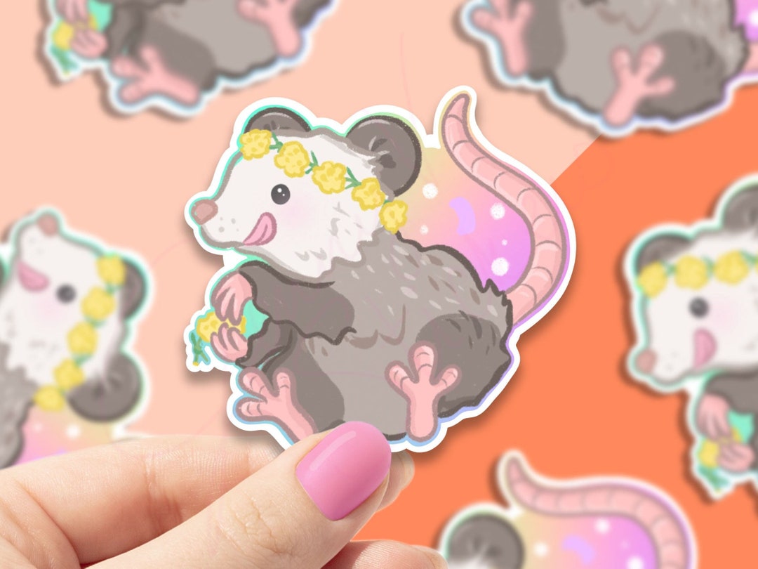 Floral Opossum Sticker, Stickers, Animal Stickers, Rainbow Designs ...