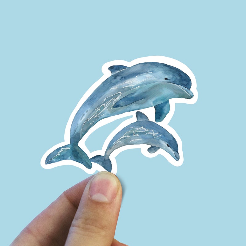 Dolphin Sticker - Etsy