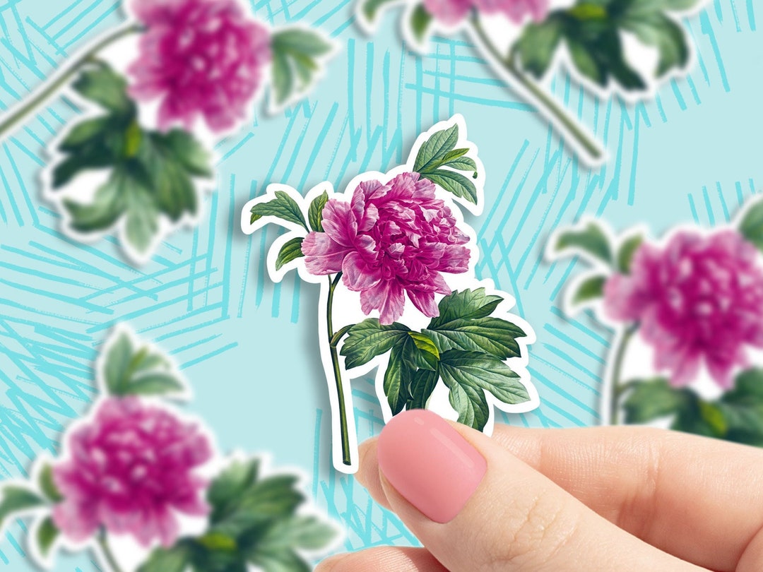 Pink Peony Vinyl Sticker, Illustrated Flower Sticker, Flower Sticker ...