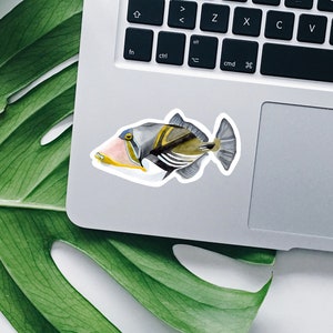 Painted Triggerfish Vinyl Sticker, Ocean Fish Sticker, Best Friend Gift ...