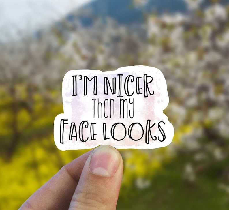 Im Nicer Than My Face Looks Sticker Rbf Sticker Fun Saying - Etsy