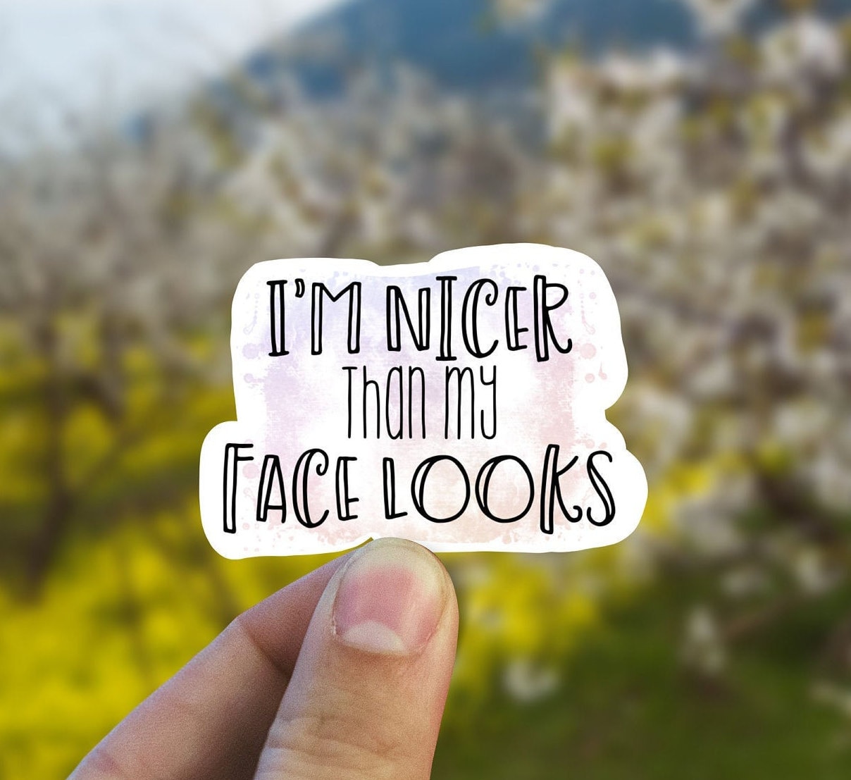 I’m Nicer Than My Face Looks Sticker, Rbf Sticker, Fun Saying Sticker ...
