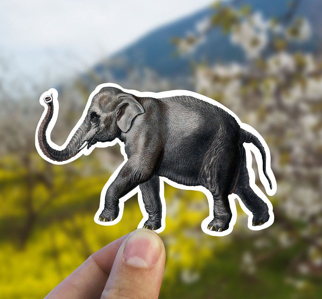 Indian Elephant Vinyl Sticker, Elephant Sticker, Best Friend Gift ...