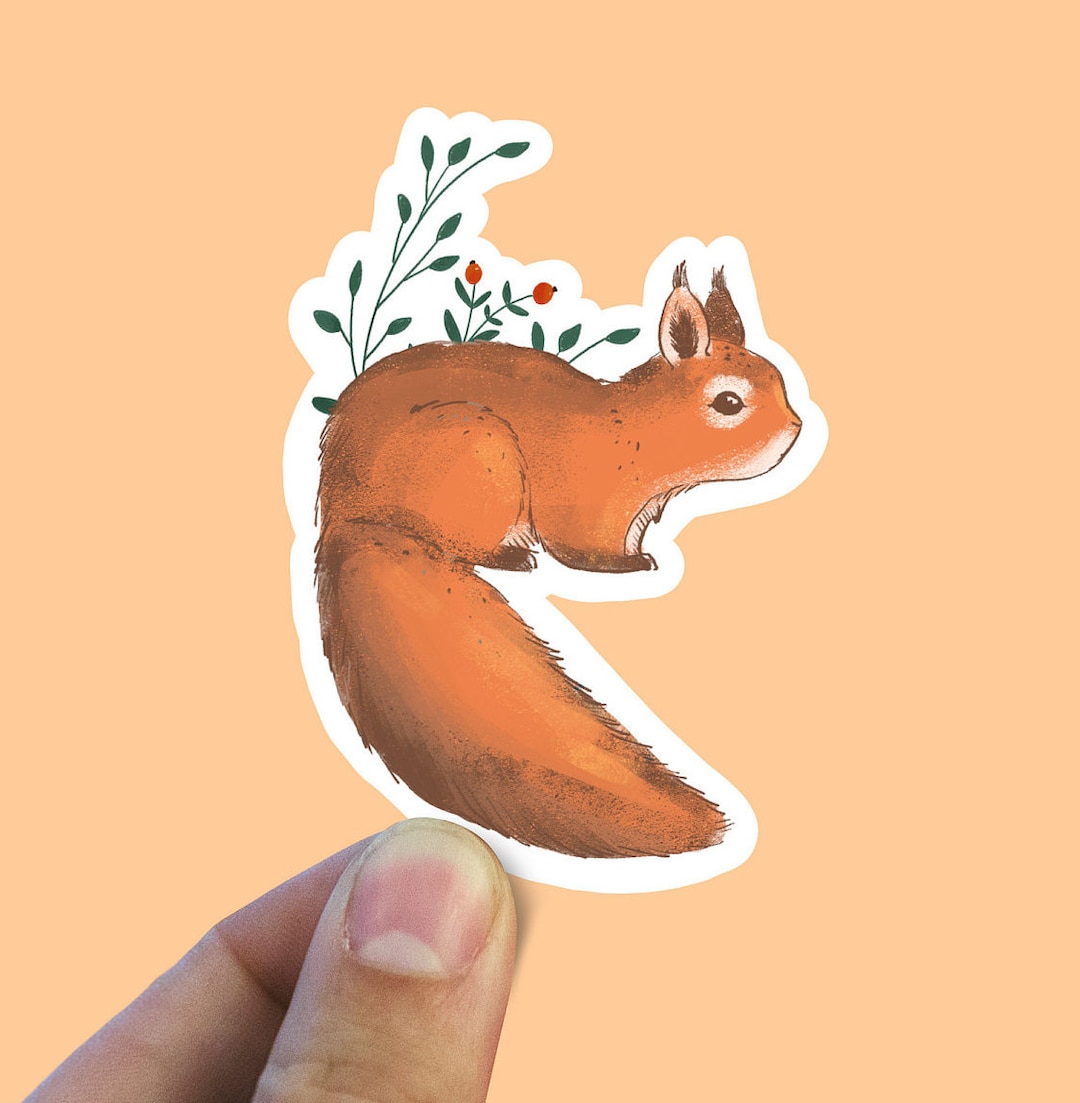 Watercolor Squirrel Vinyl Sticker, Bear Sticker, Best Friend Gift ...