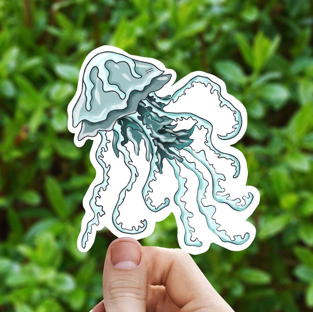 Celestial Aquarius Sticker, Aquarius Zodiac Sticker, Astrology Sticker ...