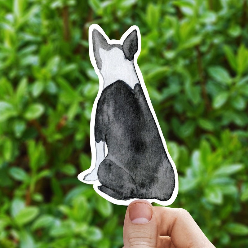 Boston Terrier Decal - Etsy