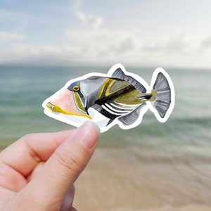 Painted Triggerfish Vinyl Sticker, Ocean Fish Sticker, Best Friend Gift ...