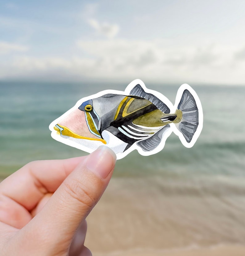 Painted Triggerfish Vinyl Sticker Ocean Fish Sticker Best - Etsy