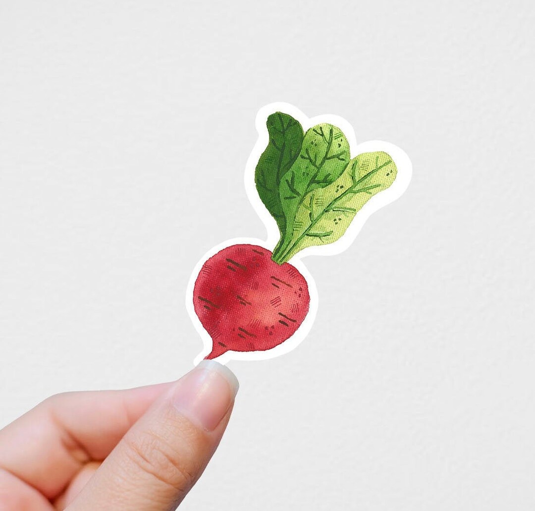 Radish Vinyl Sticker, Stickers Labels, Laptop Stickers, Waterproof ...