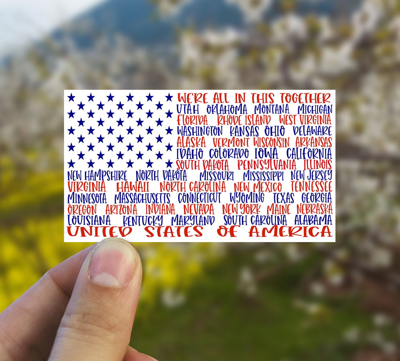 50 States American Flag Vinyl Sticker Best Friend Gift USA - Etsy