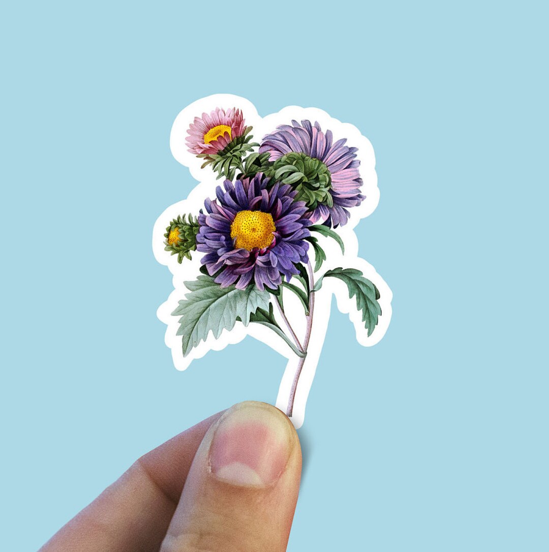 Chinese Aster Vinyl Sticker, Illustrated Flower Sticker, Flower ...