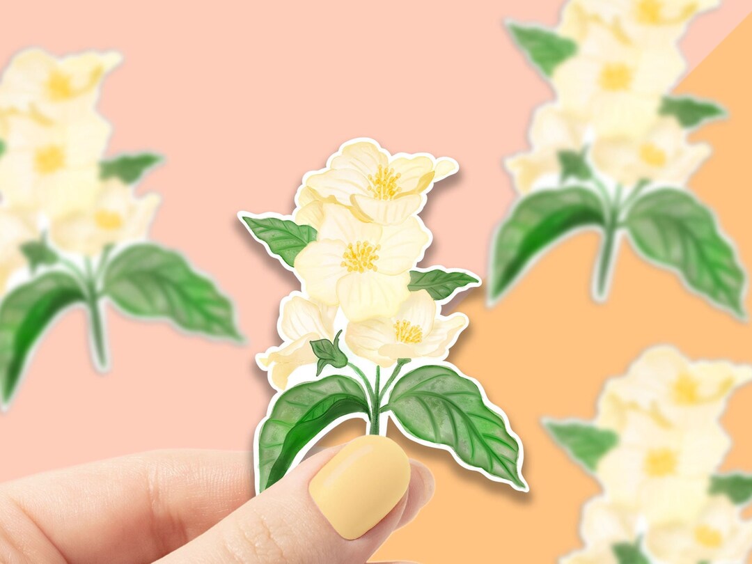 Jasmine Flower Vinyl Sticker, Laptop Sticker, Meme Sticker, Adult Humor ...