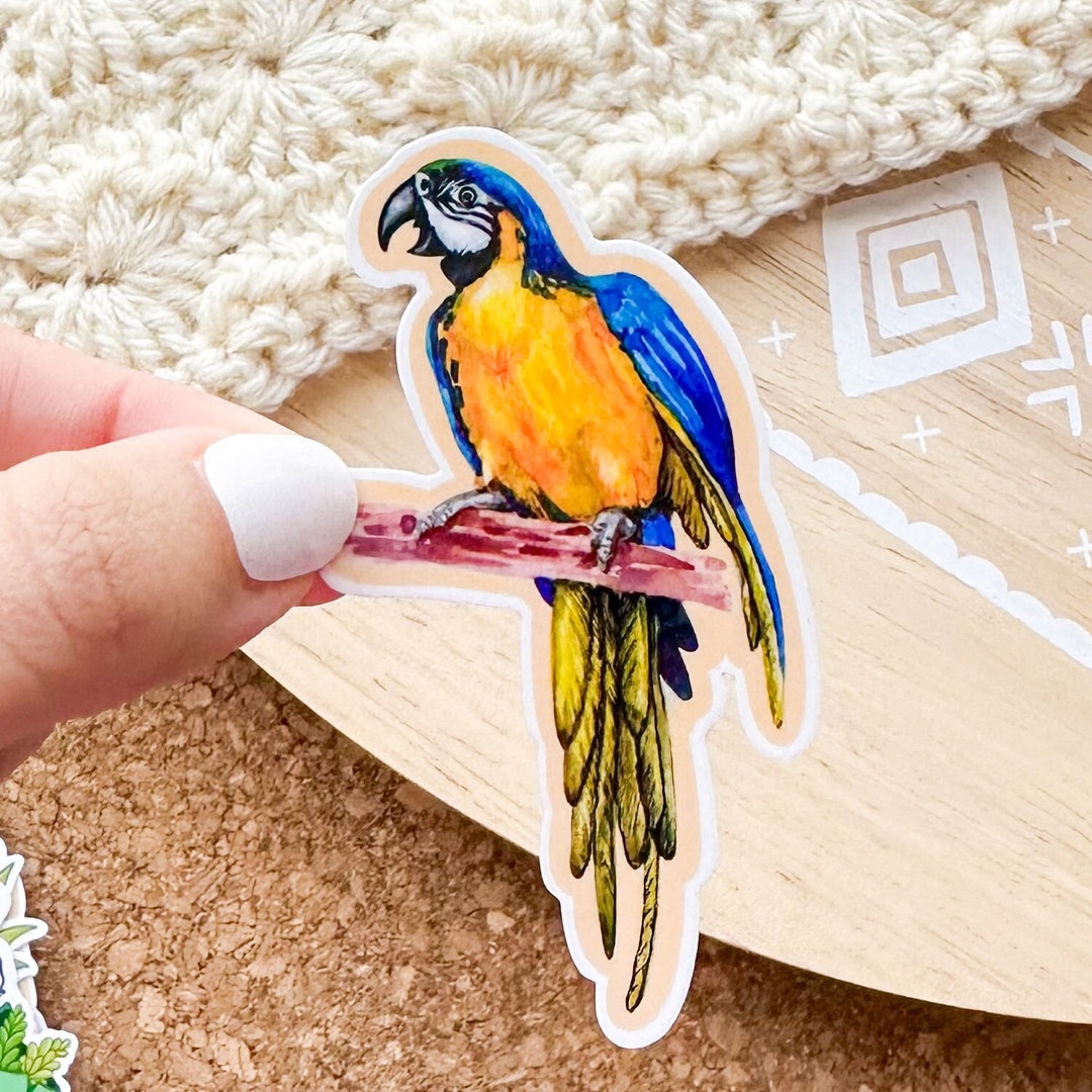 Watercolor Parrot Vinyl Sticker, Bird Sticker, Best Friend Gift, Laptop ...