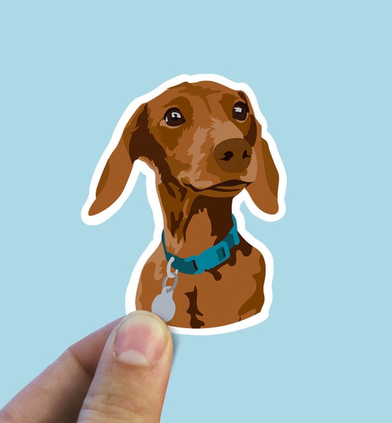 VSCO Sticker Pack Water Bottle Stickers 50 / 25 Pack Dachshund Stickers ...