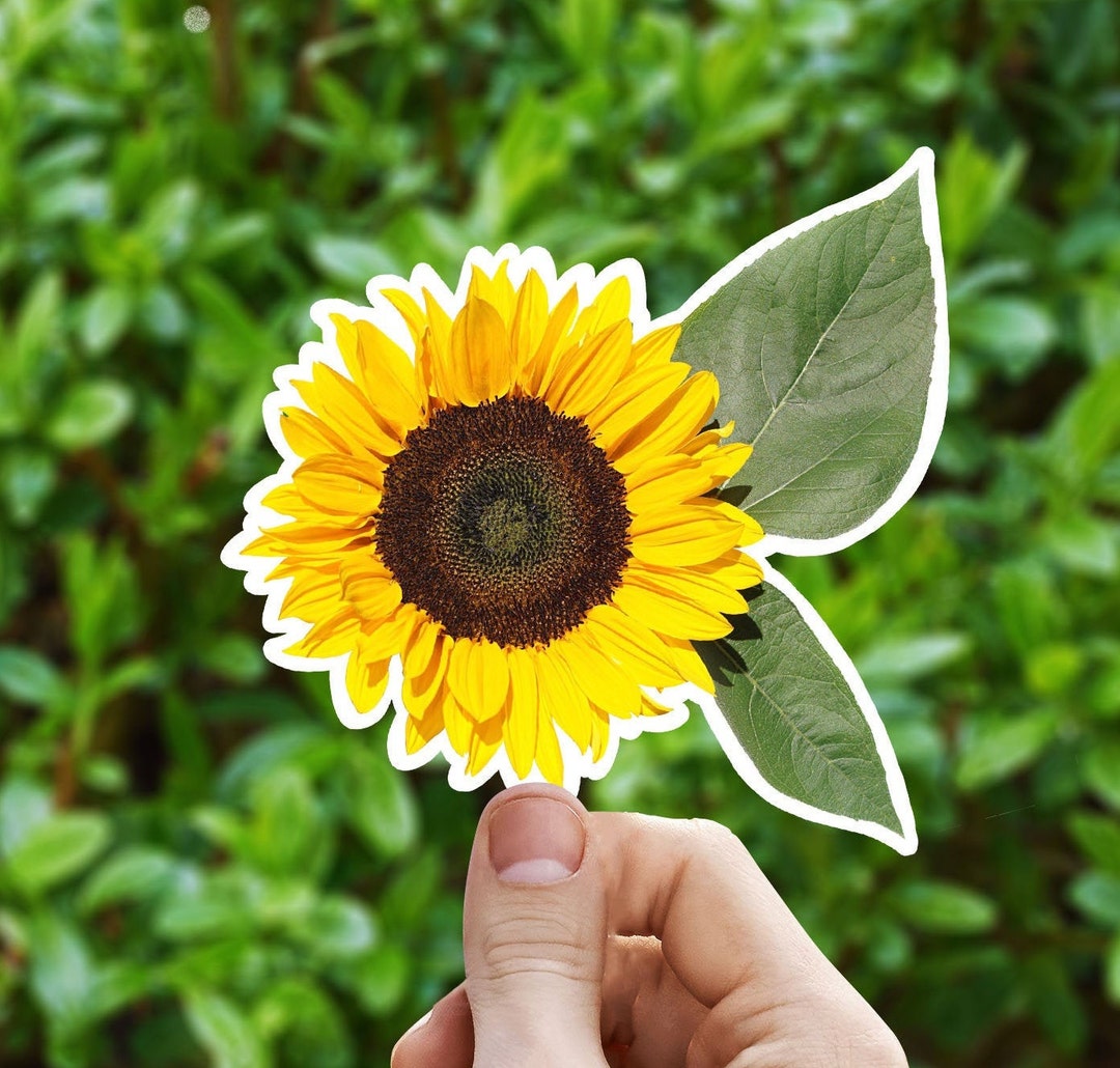 Realistic Sunflower Sticker, Sunflower Sticker, Flower Sticker ...