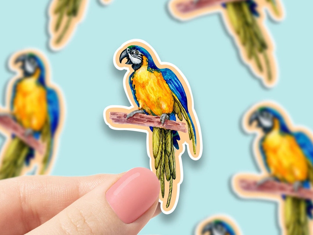 Watercolor Parrot Vinyl Sticker, Bird Sticker, Best Friend Gift, Laptop ...