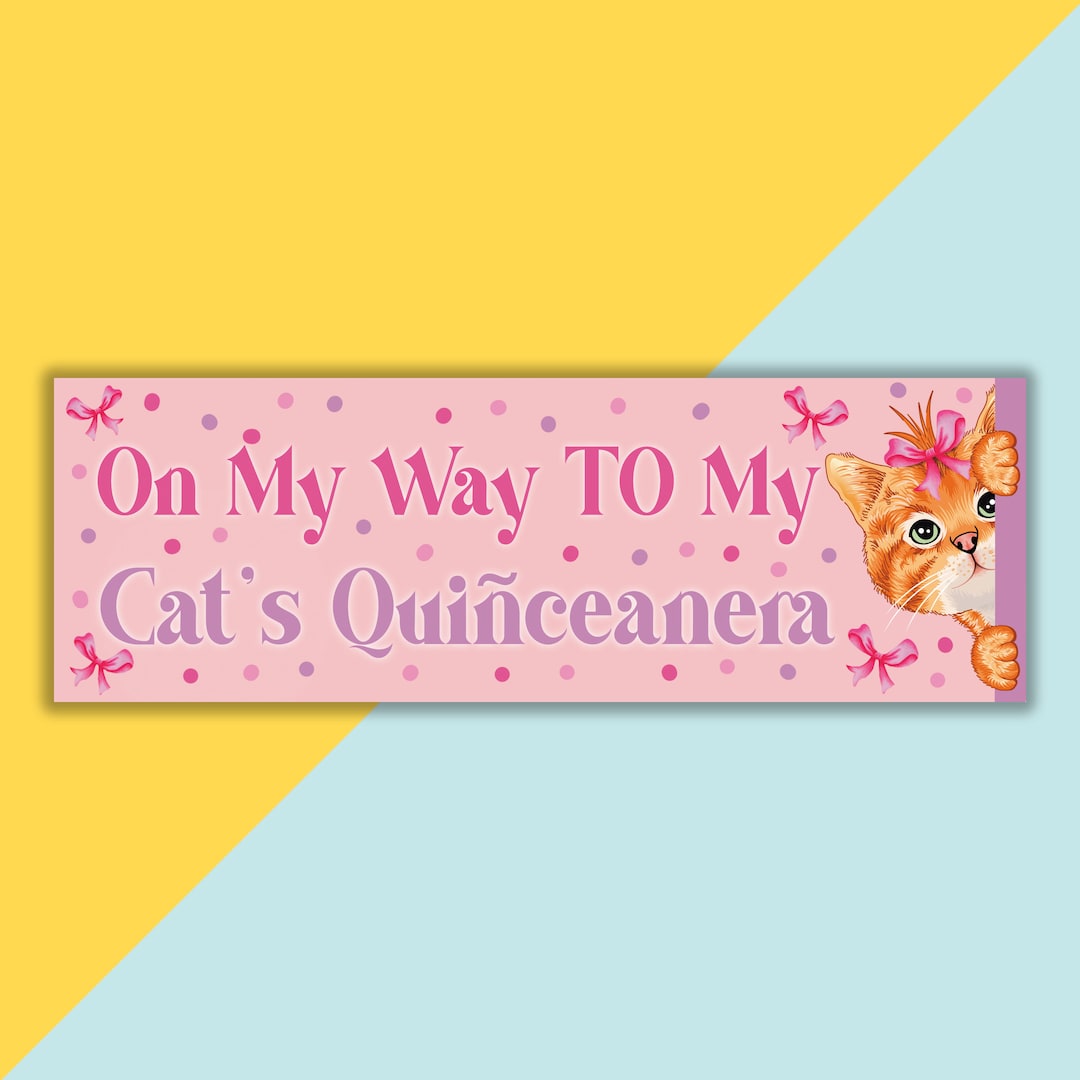 On My Way to My Cats Quinceanera Bumper Sticker and Magnet, Funny ...