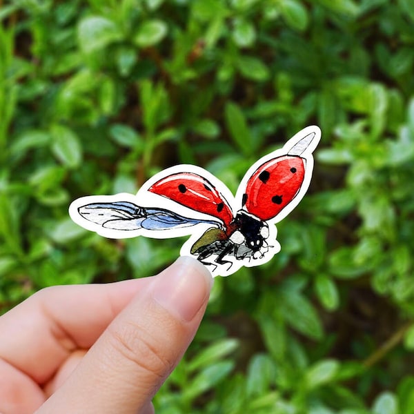 Ladybug Decal - Etsy
