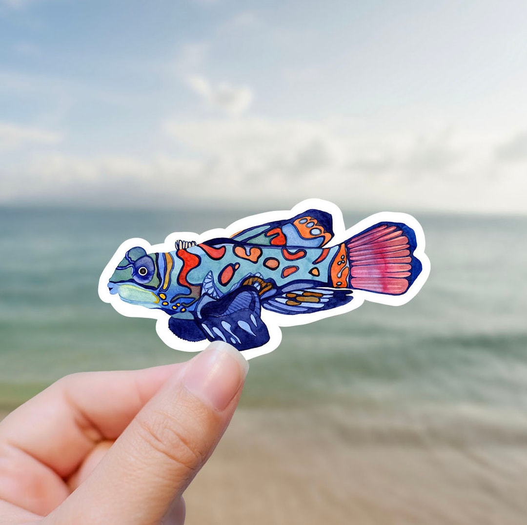 Mandarin Fish Vinyl Sticker, Ocean Fish Sticker, Best Friend Gift ...