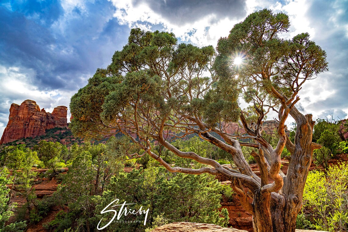 Landscape Photography-acrylic Prints-canvas Prints-wall - Etsy