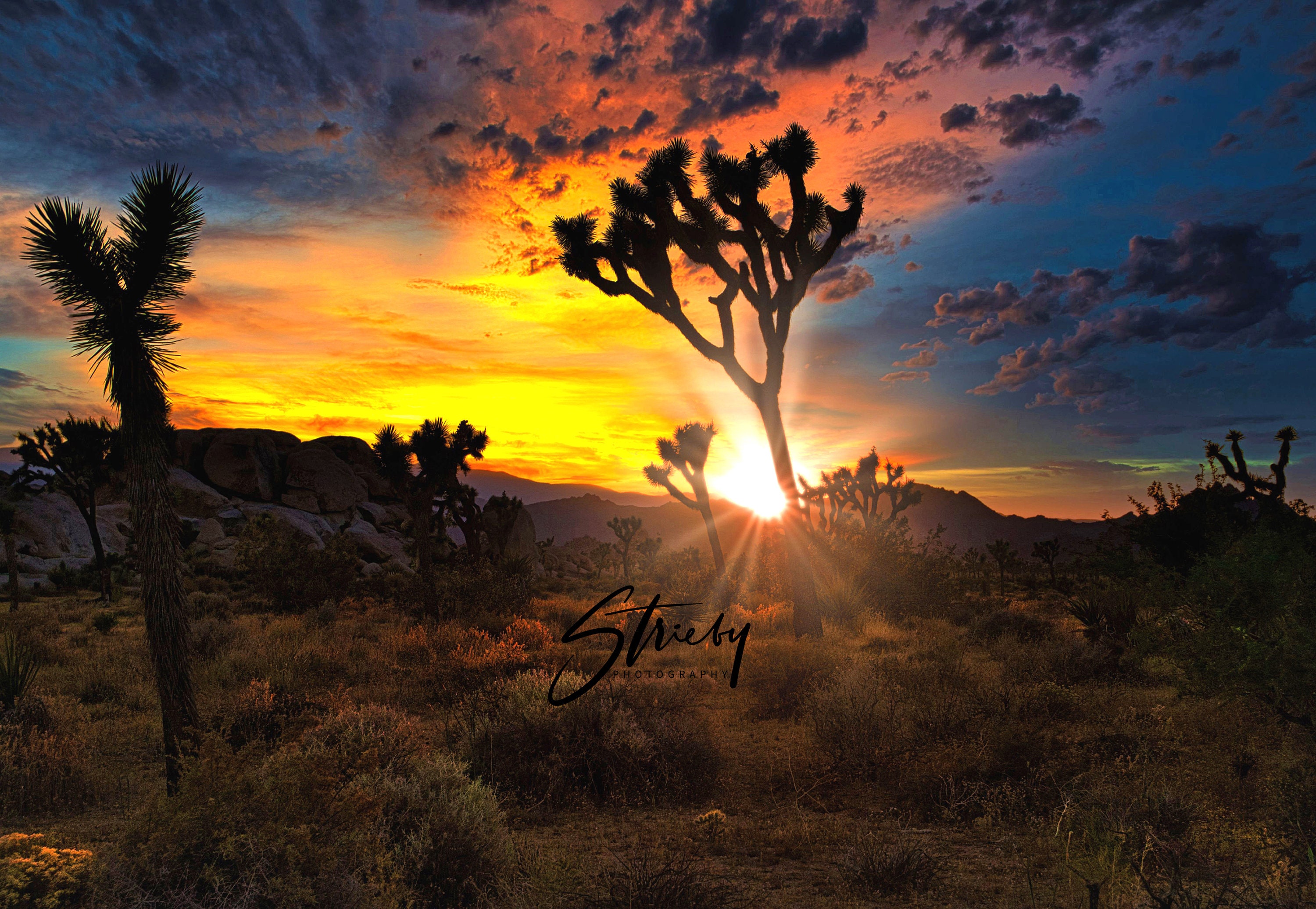 Landscape Photography-acrylic Prints-canvas Prints-canvas-home - Etsy