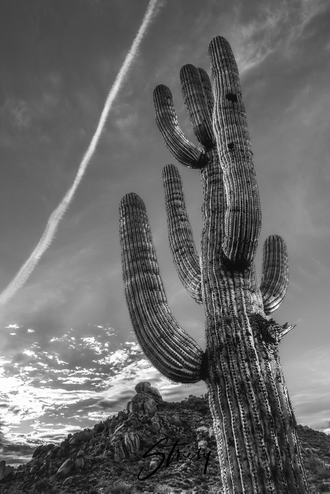 Landscape Photography-acrylic Prints-canvas Prints-canvas-home Decor ...