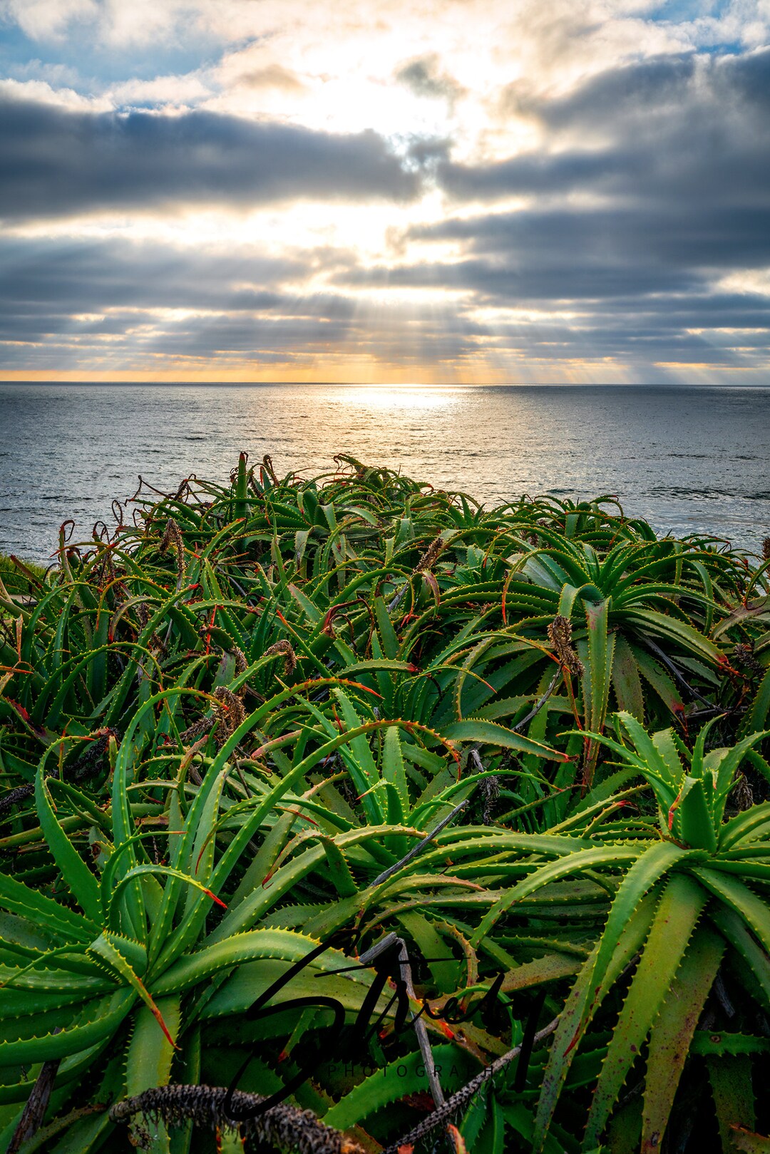 Landscape Photography-acrylic Prints-canvas Prints-wall Decor-wall Art ...