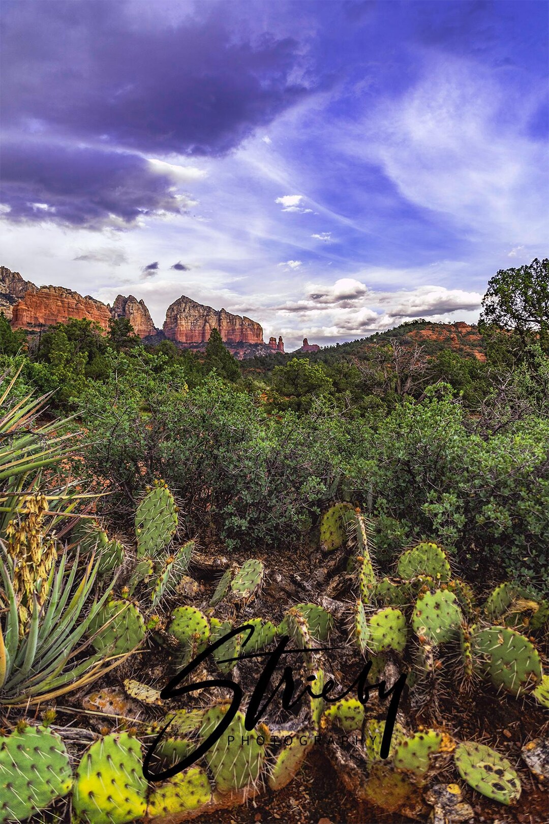 Arizona Sedona Landscape Photography-framed Art-art Prints-photography ...
